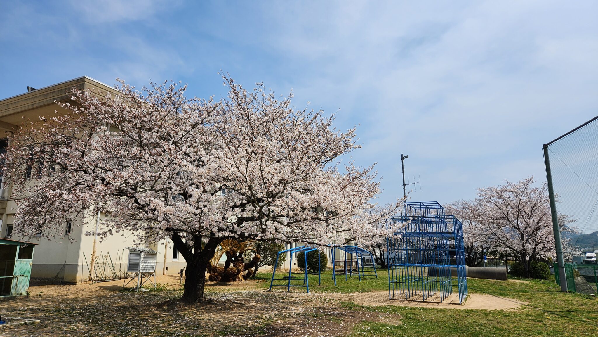 20230330_111822 – たつの市立神岡小学校